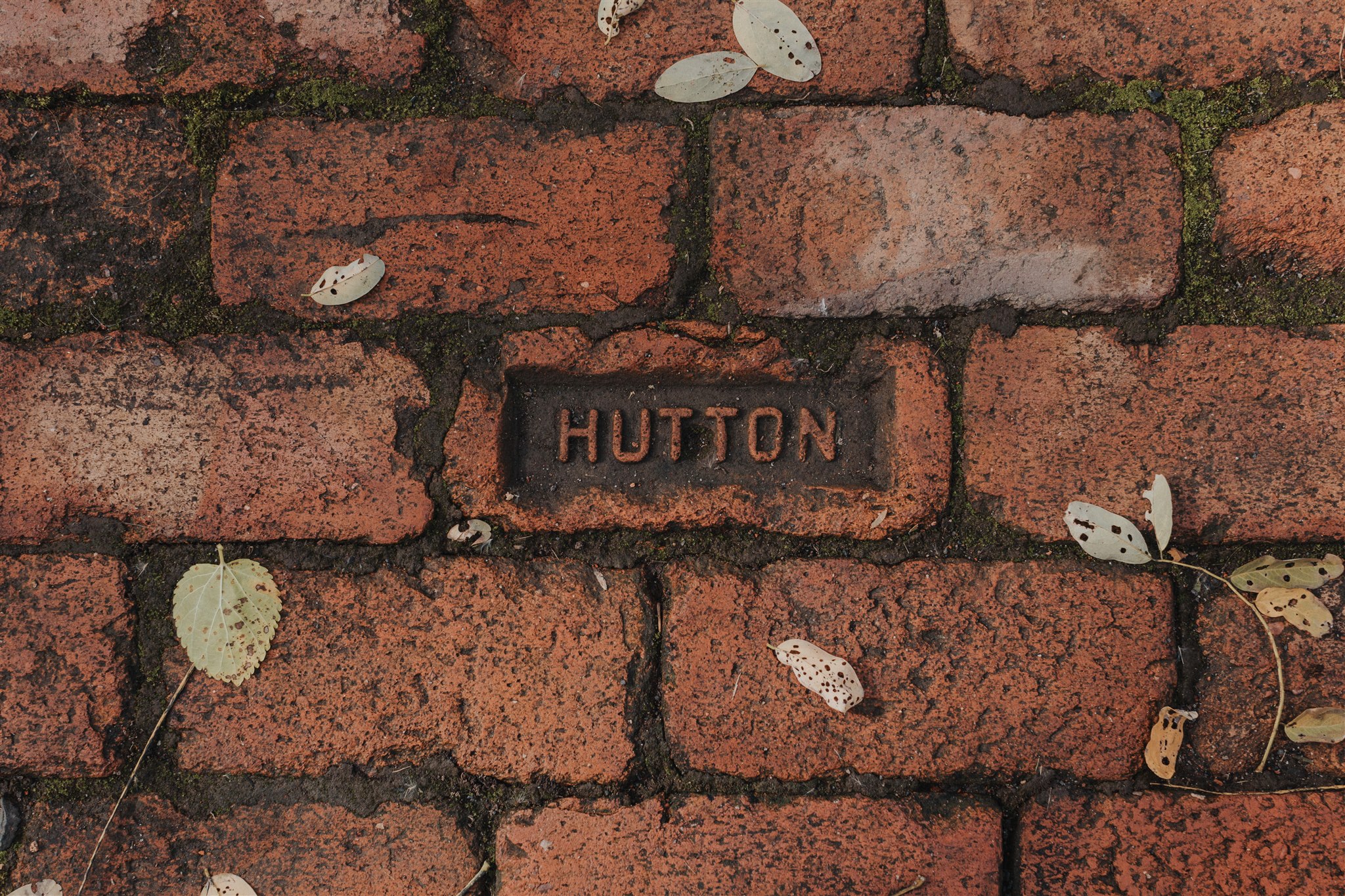 An Industrial Wedding at the Historic Hutton Brickyards in Kingston, NY ...